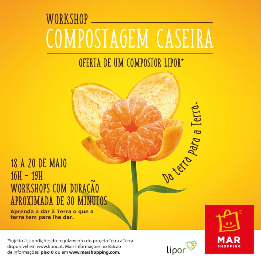 MAR Shopping Matosinhos e Lipor organizam workshops | Portal ...