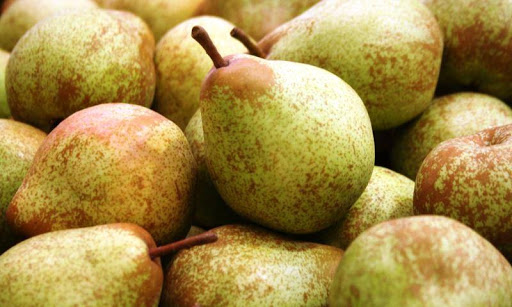 Campanha da Pera Rocha inicia-se esta segunda-feira | Portal ...