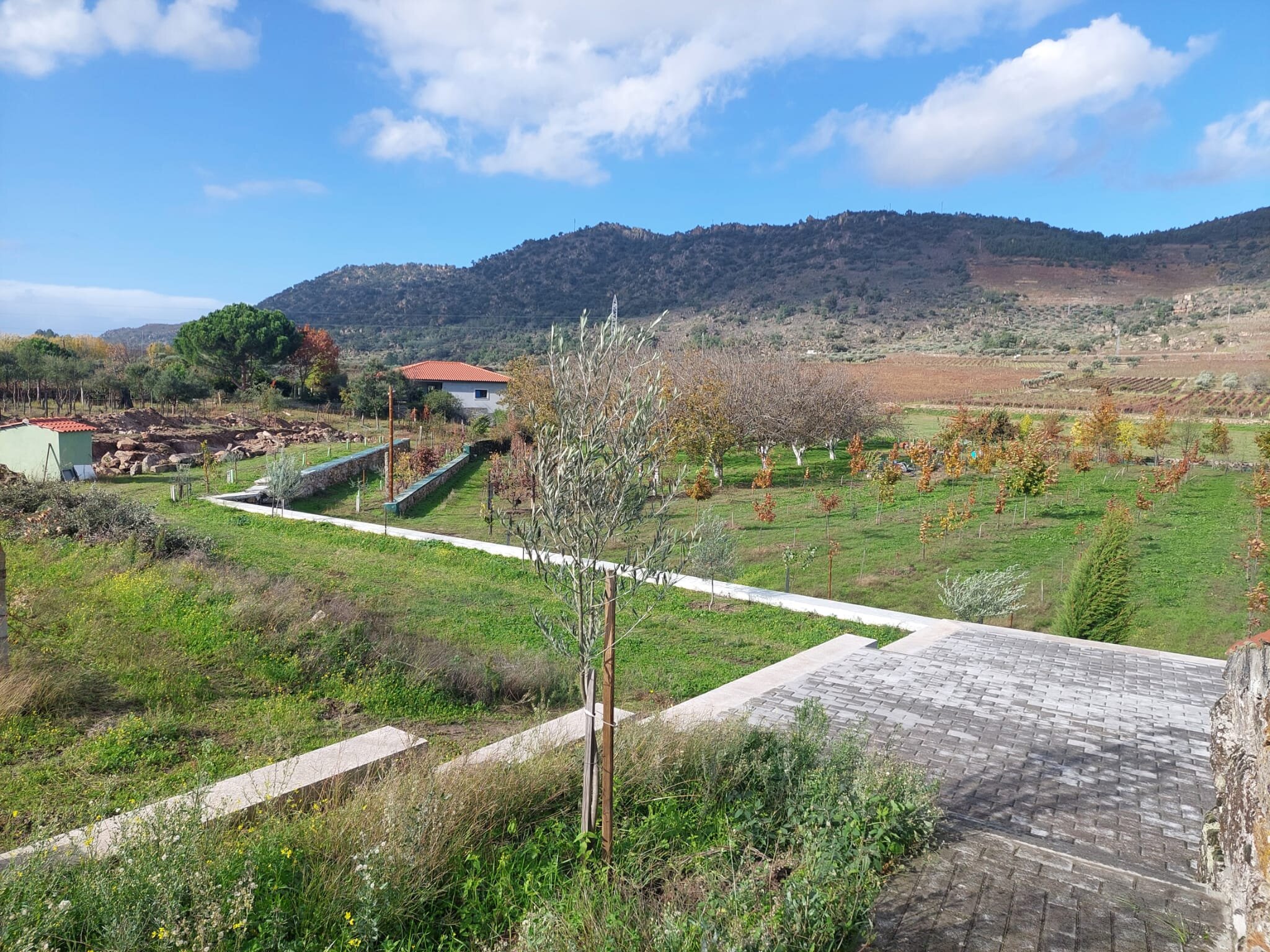 Opinião: Minifúndio e latifúndio - tão diferentes, mas complementares ...